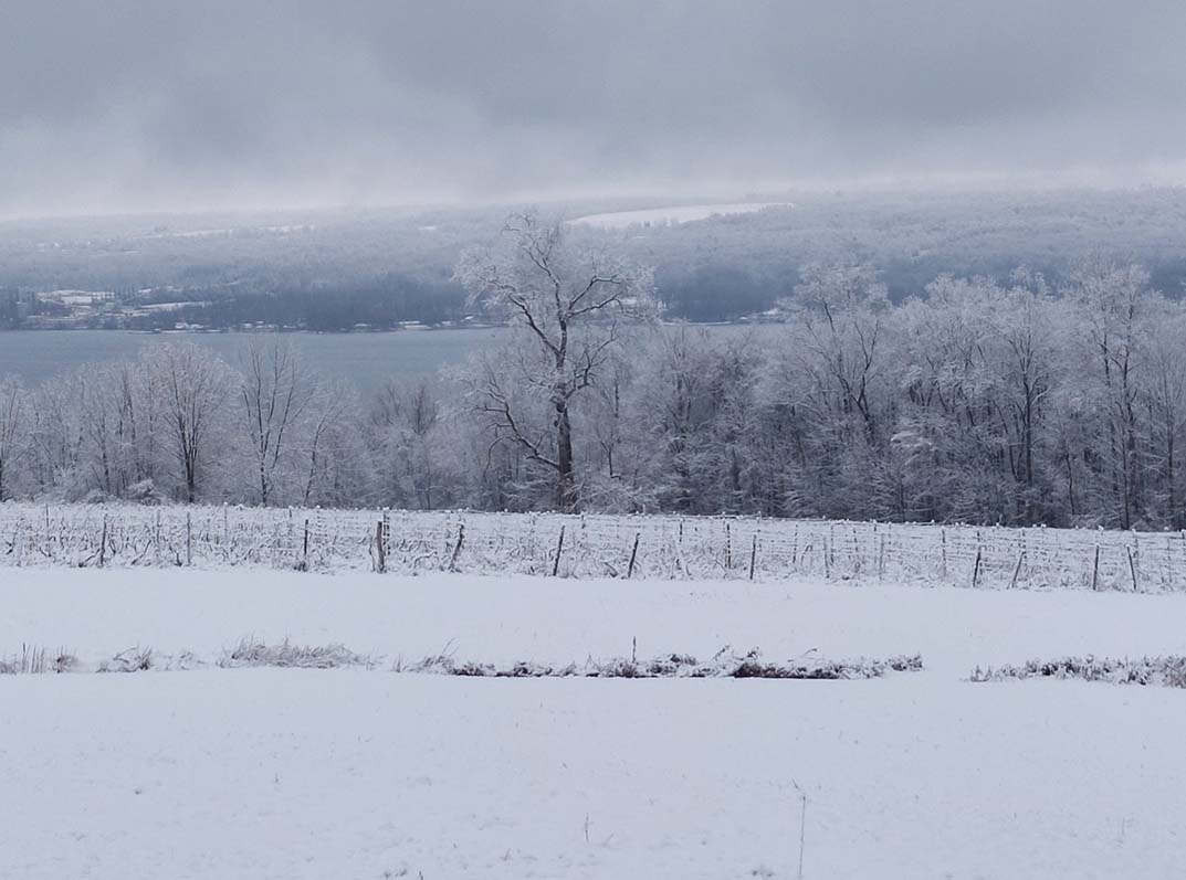 News and Notes | Frontenac Point Winery & Estate